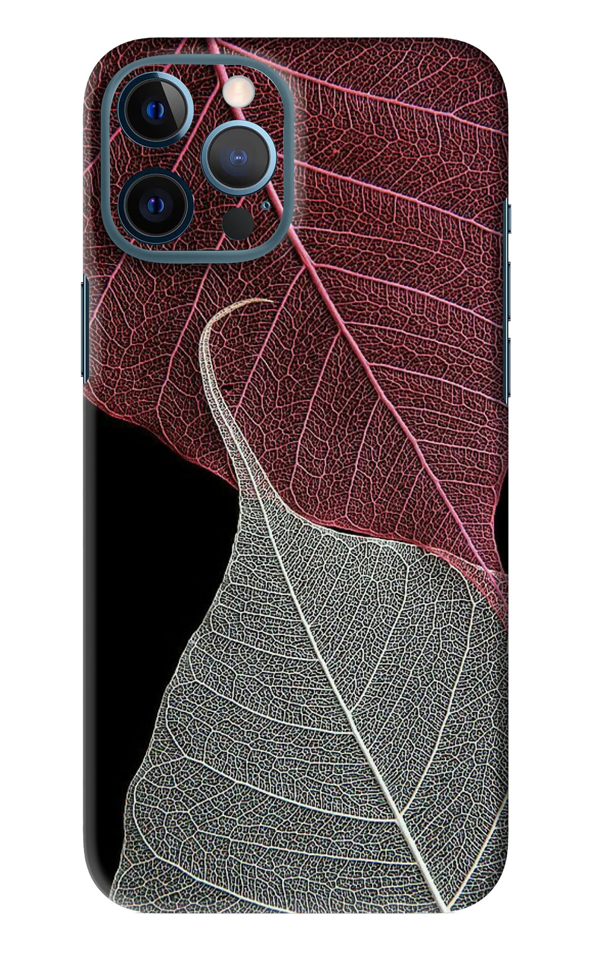 Leaf Pattern iPhone 12 Pro Max Back Skin Wrap | Only Rs.149 – SkinLelo